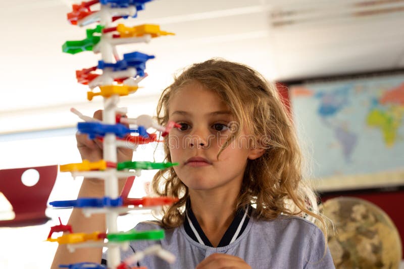 Boy Learning Science Model in Classroom Stock Photo - Image of male ...