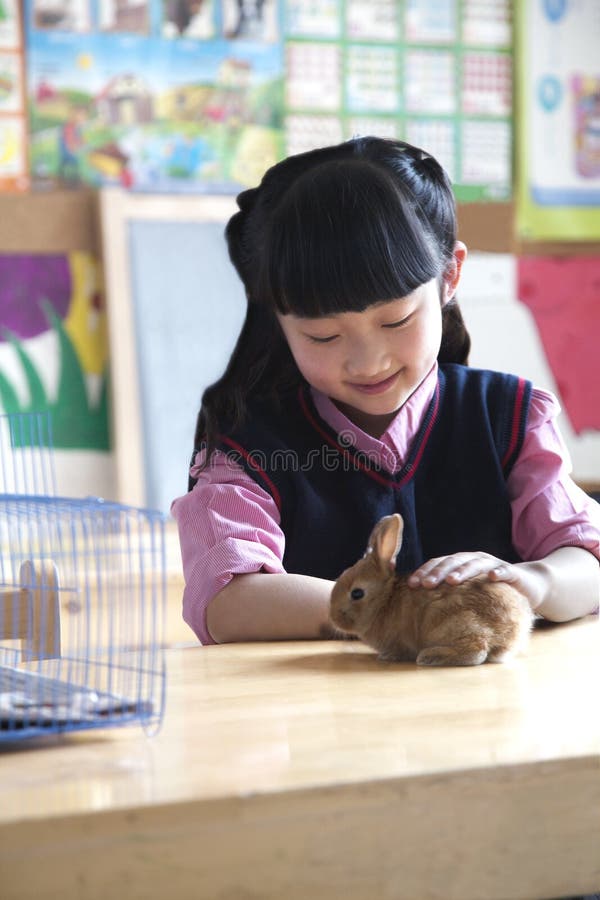 Schoolgirl Petting Pet Rabbit in Classroom Stock Image - Image of ...
