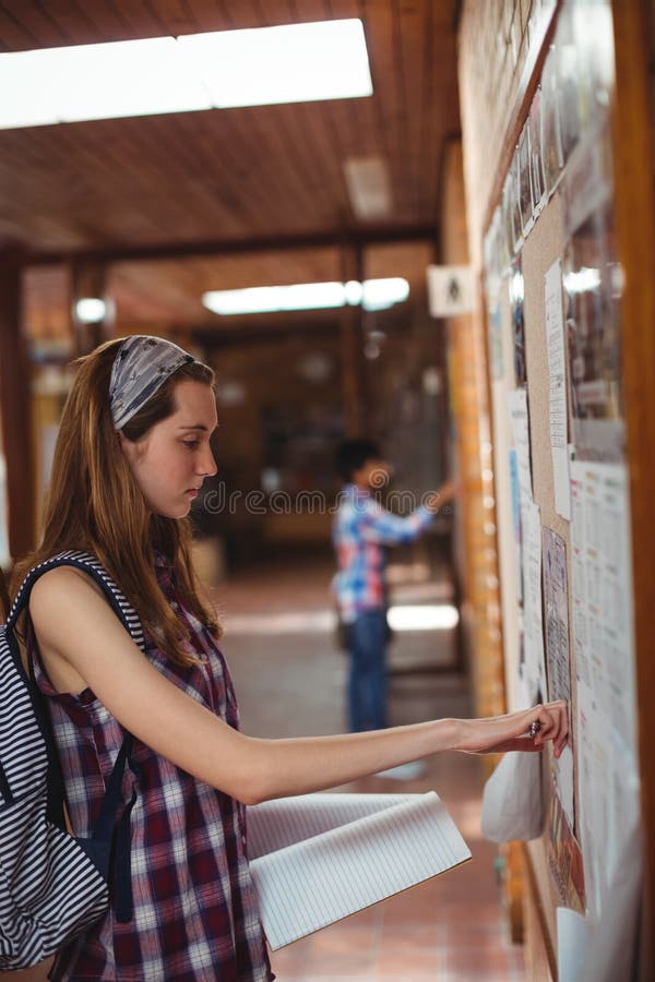 Student Reading Notice Board Stock Photos - Free & Royalty-Free Stock ...