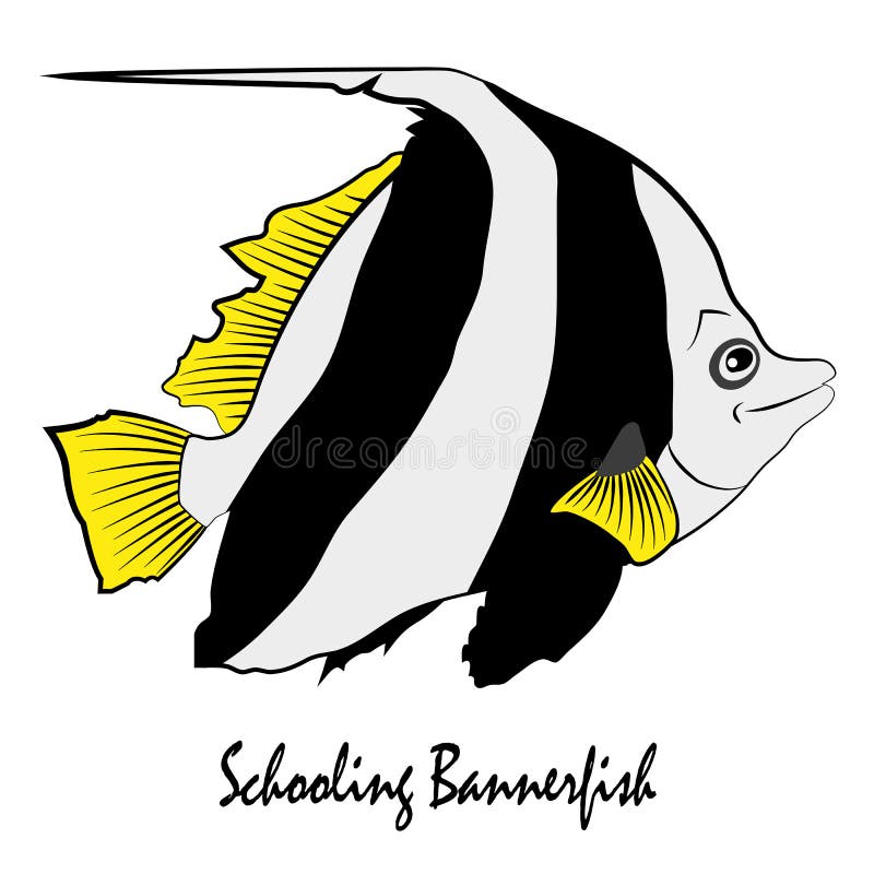 Schooling Bannerfish Saltwater Aquarium Fish Vector Stock Vector ...