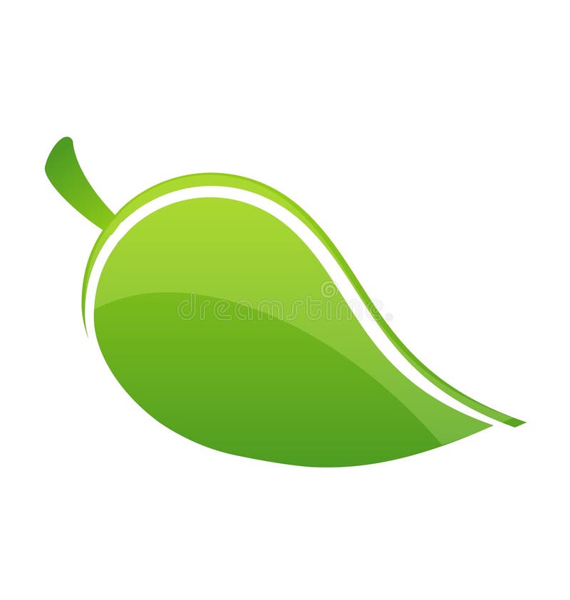 Schoon groen blad vector illustratie. Illustration of installatie ...