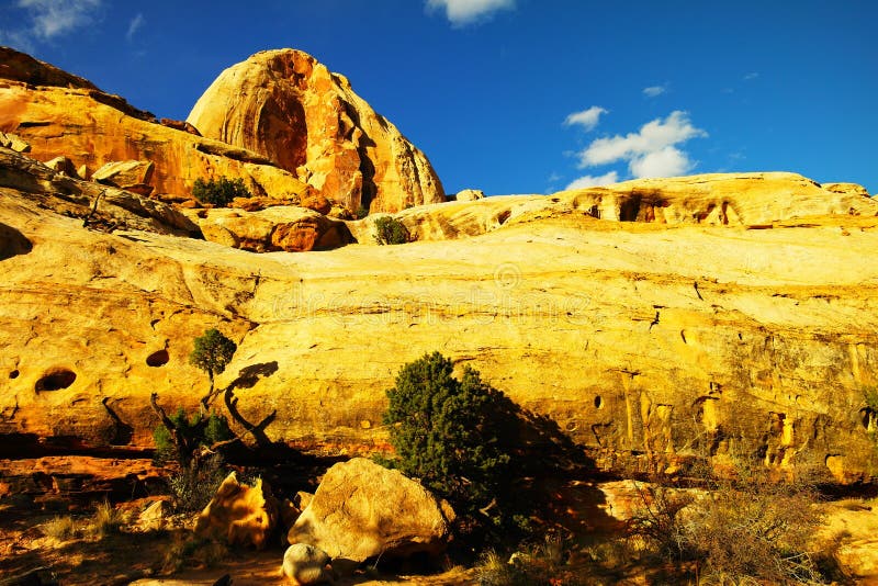 Schreiten des llandscape stockfoto. Bild von ernstlich - 48456350