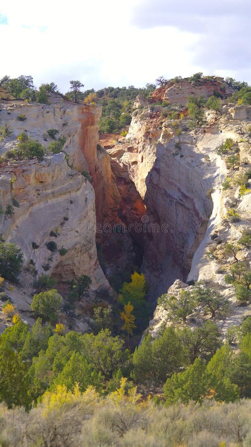 Schreiten des llandscape stockfoto. Bild von ernstlich - 48456350
