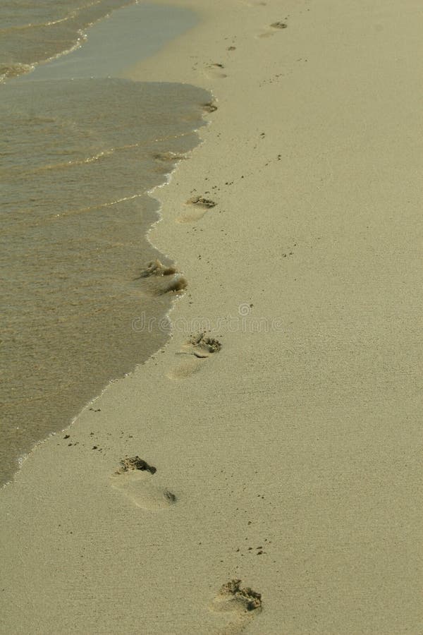 Schritte auf dem Strand stockbild. Bild von sand, strand - 6660419