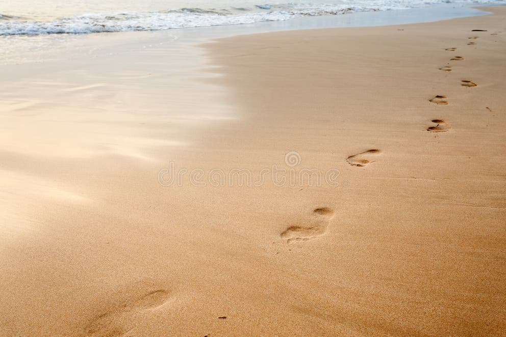 Schritte auf dem Strand stockbild. Bild von landschaft - 81911347