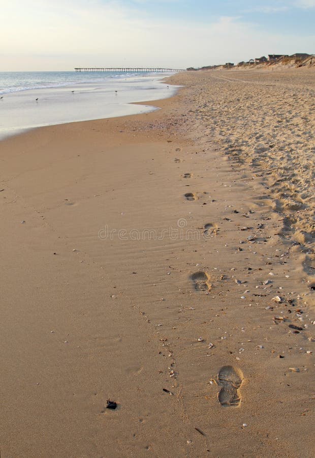Schritte Auf Einem Strand in Der Nord-Carolinavertikale Stockfoto ...