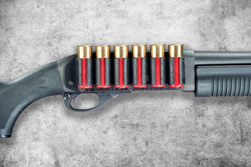 Schrotflinte stockfoto. Bild von rechte, konstitutionell - 29196106