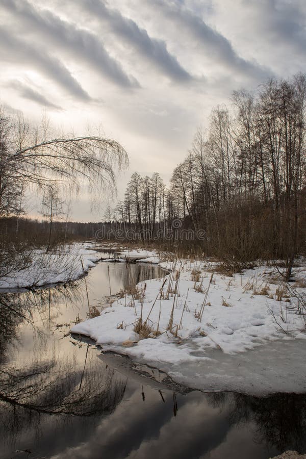Schukin meadow stock image. Image of schukin, river, sunset - 81153699