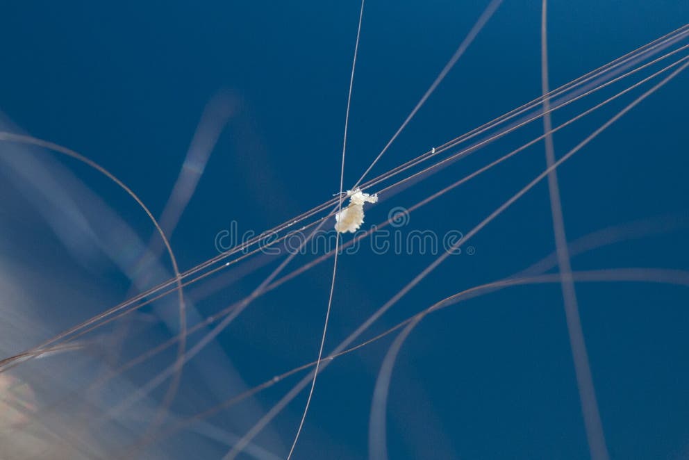 Schuppe stockbild. Bild von nissen, leuchte, plage, wolke - 23263395