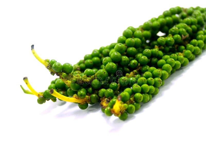 Schwarzer Pfeffer stockbild. Bild von pfeffer, schwarzer - 1615069