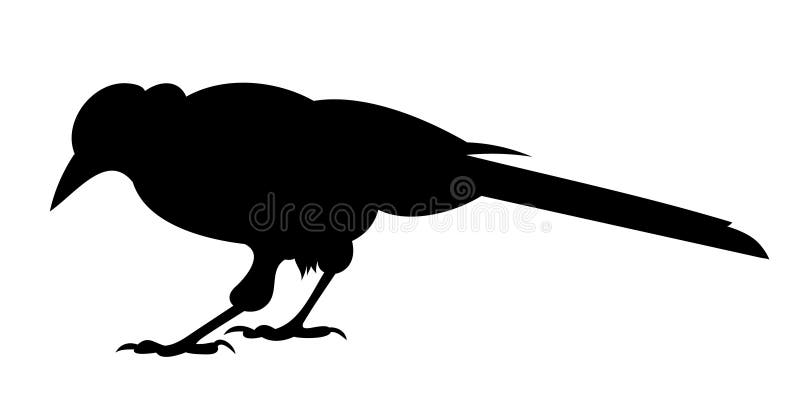 Schwarzer Rabe vektor abbildung. Illustration von vektor - 7142742