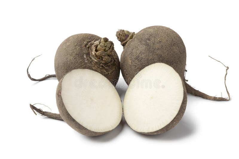 Schwarzer Winter-Rettich stockfoto. Bild von rübe, wurzel - 22162008