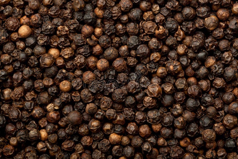Schwarzes Pfefferkorn stockbild. Bild von saatgut, bestandteil - 59536209