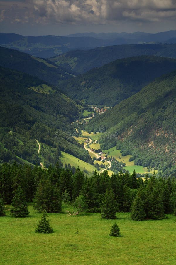 Schwarzwald stock image. Image of schwarzwald, deutschland - 17860427