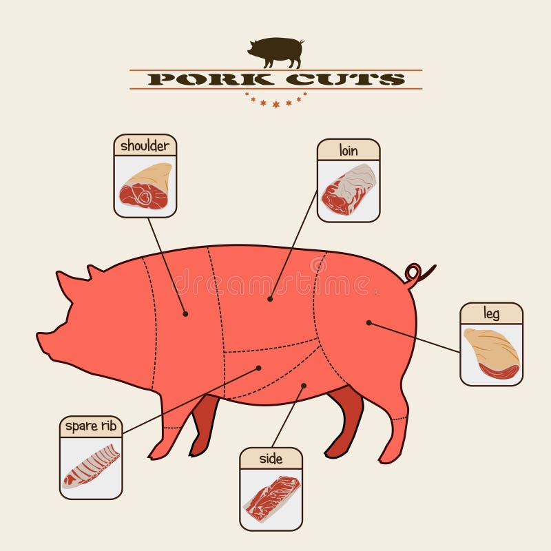 Schweinefleisch Stock Illustrationen, Vektoren, & Kliparts - 86,397 ... Schweinefleisch Stock Illustrationen, Vektoren, & Kliparts - 86,397 ...