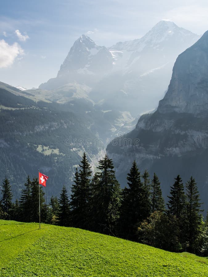 Schweizer Flagge in Den Bergen Stockfoto - Bild von grün, hügel: 35048350