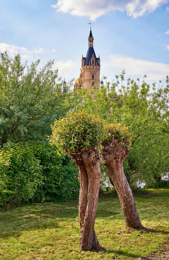 Schwerin Castle Behind Green Trees Under a Blue Sky Stock Image - Image ...