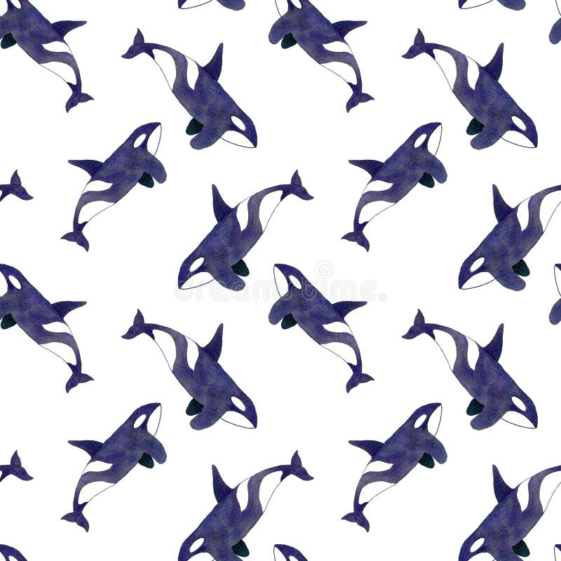 Schwertwal Oder Killerwal Nahtloses Aquarellmuster Stock Abbildung ...