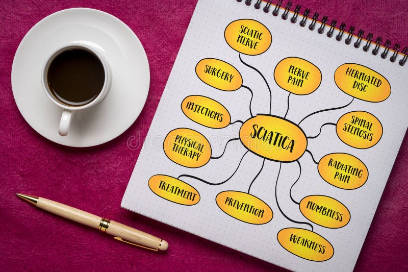 Spinal Nerve Map Stock Photos - Free & Royalty-Free Stock Photos from ...