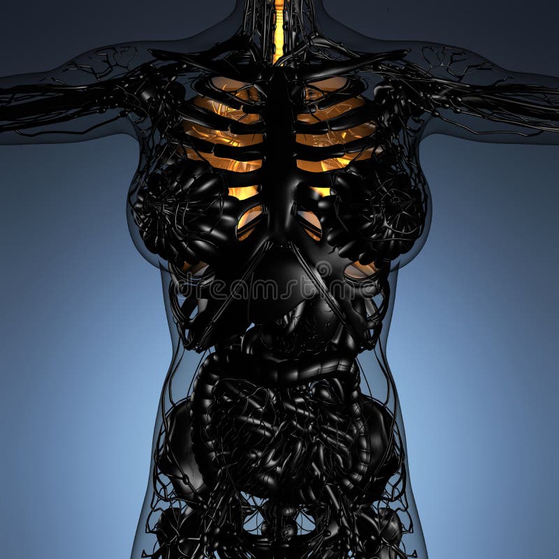 Science Anatomy of Woman Body with Glow Lungs Stock Illustration ...