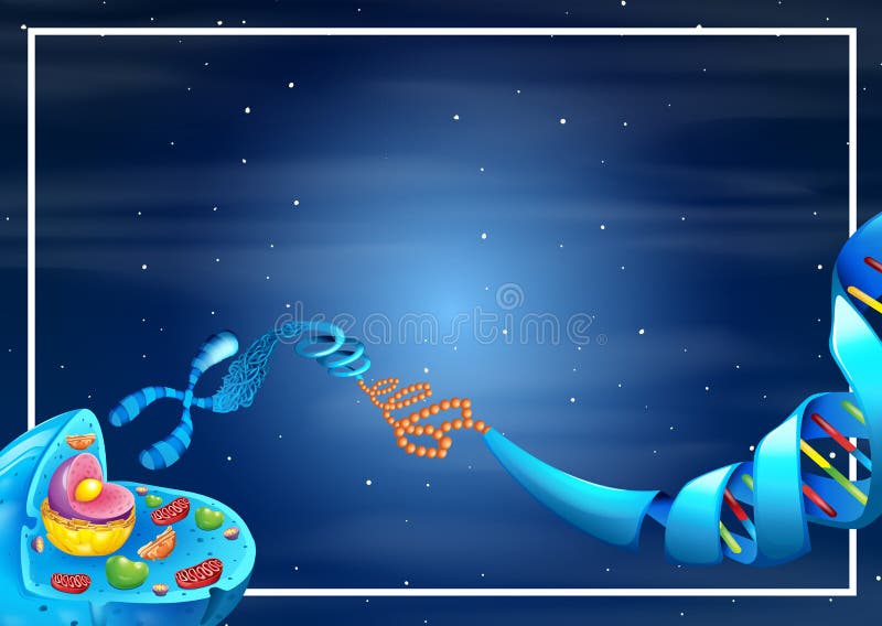 Science Border Stock Illustrations – 136,045 Science Border Stock ...