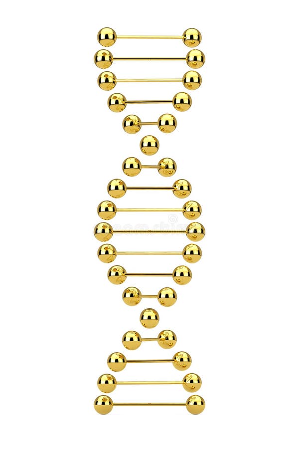 Science Concept. Rows of Metal Golden DNA Molecule Spiral. 3d Rendering ...