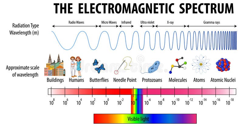 Scientific Electromagnetic Wave Structure And Parameters, Vector ... Scientific Electromagnetic Wave Structure And Parameters, Vector ...