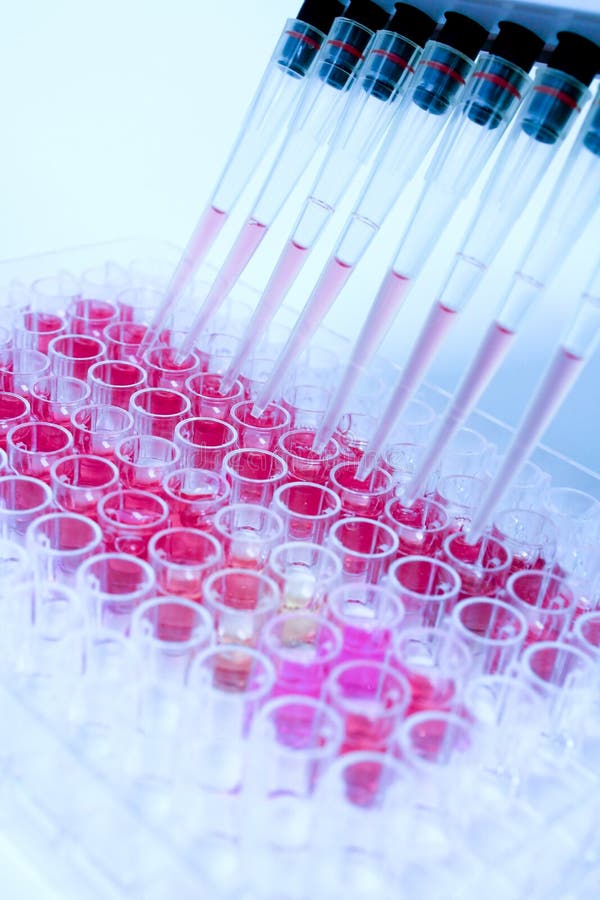 Science Experiment stock image. Image of scientific, tray - 22623201