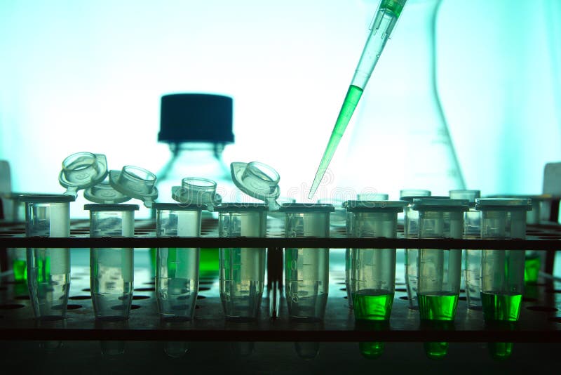 Science Experiment stock image. Image of scientific, tray - 22623201