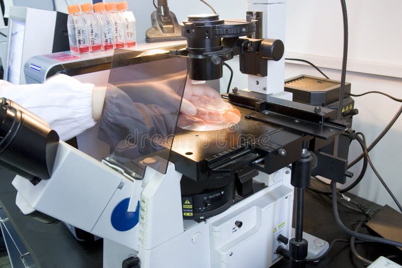 Science Experiment Work Station Stock Photo - Image of experiment ...