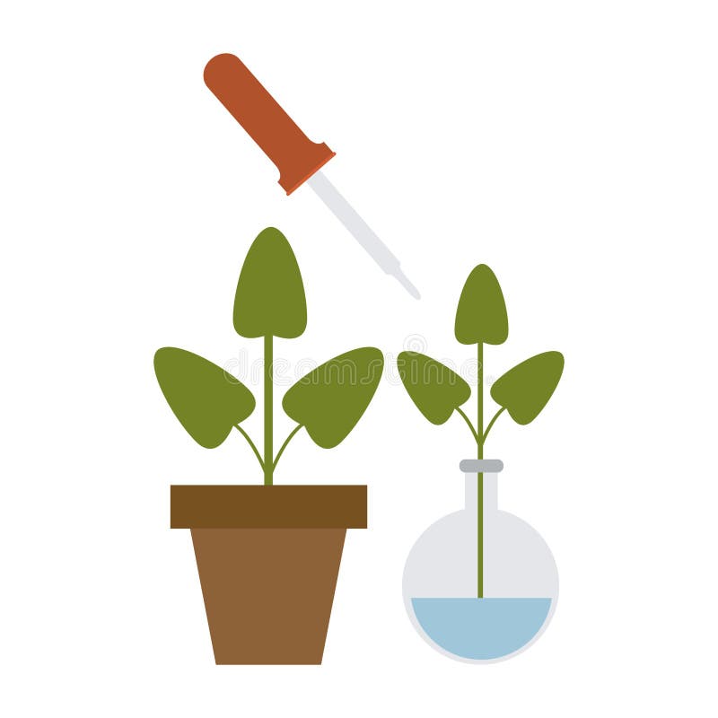 Science Experiments and Investigation Stock Vector - Illustration of ...