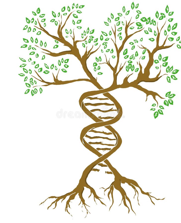 Dna Tree Drawing