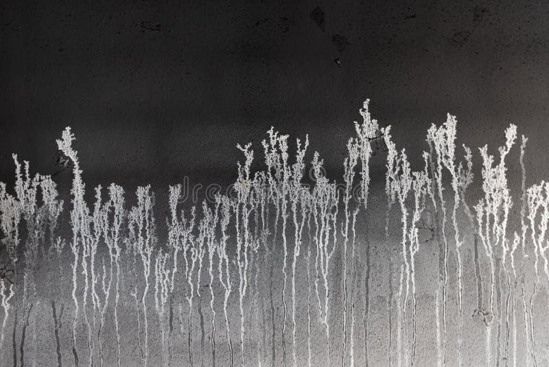 Science Lab Caused by Fire. Stock Photo - Image of chemistry, firen ...