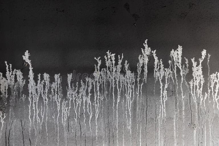 Science Lab Caused by Fire. Stock Photo - Image of chemistry, firen ...