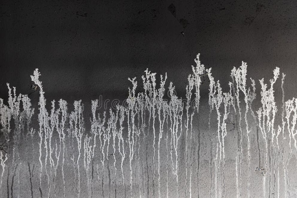 Science Lab Caused by Fire. Stock Photo - Image of chemistry, firen ...