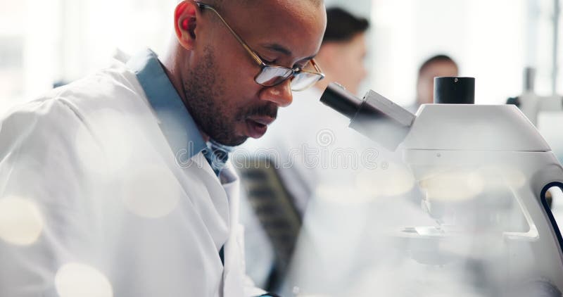 Science, Lab and Man with Notes and Microscope for Research, Medical ...