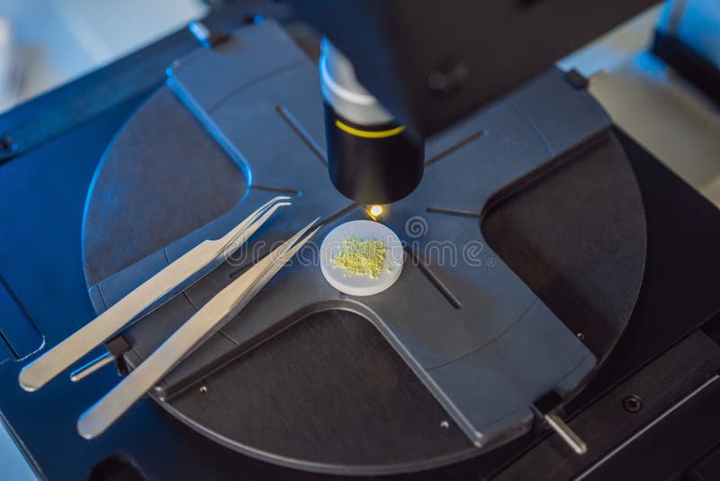 Science Lab Research Safe of New Drugs, Microscope and Pills ...