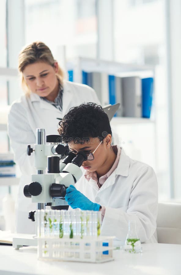 Science, Lab and Woman with Plants by Microscope for Biochemistry ...