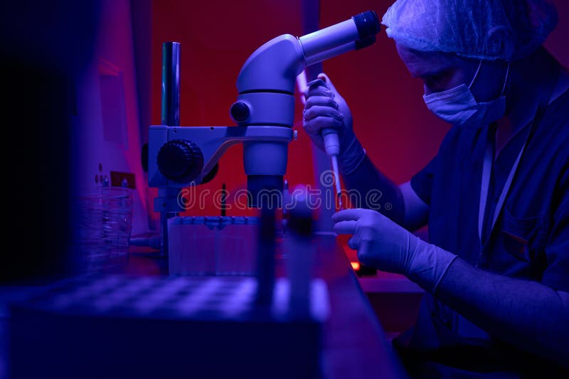 Science Laboratory Engineer Adding Cells To Test Tubes Stock Photo ...