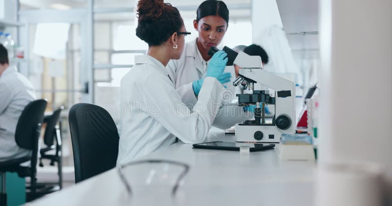 Science Laboratory, Microscope and Team Talking, Cooperation and Study ...