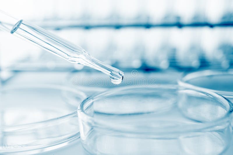 Science Laboratory Test Tubes , Laboratory Equipment Stock Photo ...