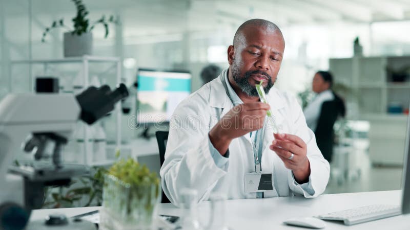 Science, Man and Test Tube with Plant in Laboratory for Sample ...