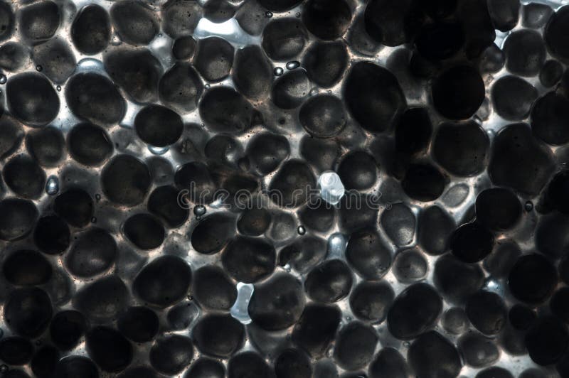 Science stock image. Image of green, meditation, black - 58010237