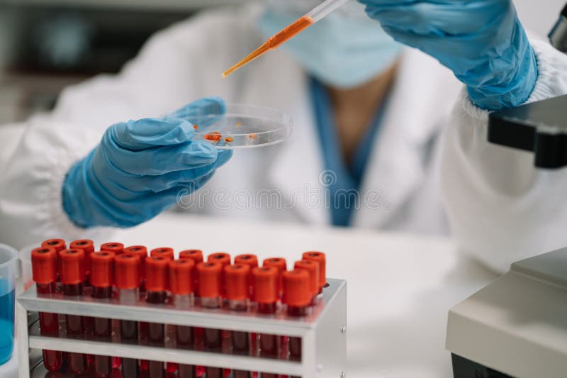 Science and Medicine, Scientist Analyzing and Dropping a Sample into a ...