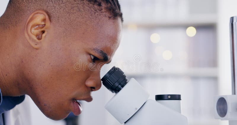 Science, Microscope and Sample with a Doctor Man at Work in a ...