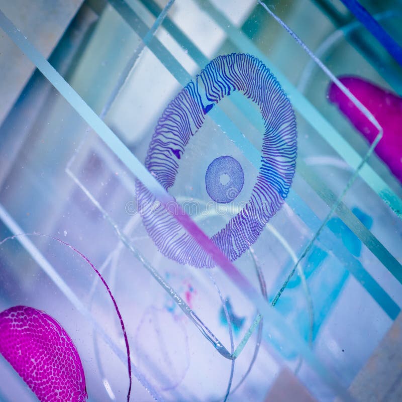 Microscope Slide Under Examination Stock Image - Image of slide, hold: 7087