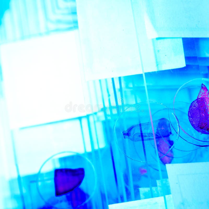 Science microscope slide stock image. Image of innovation - 25712617
