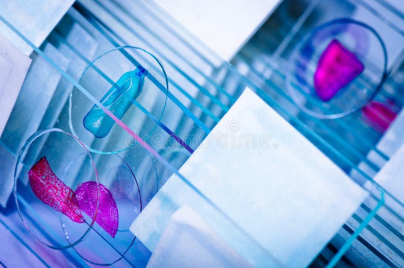 Dropped Blood Onto Microscope Slide 1 Stock Photo - Image of drop ...