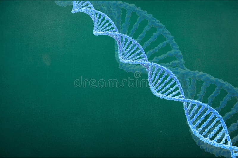 Science Molecular DNA Model Structure Stock Illustration - Illustration ...