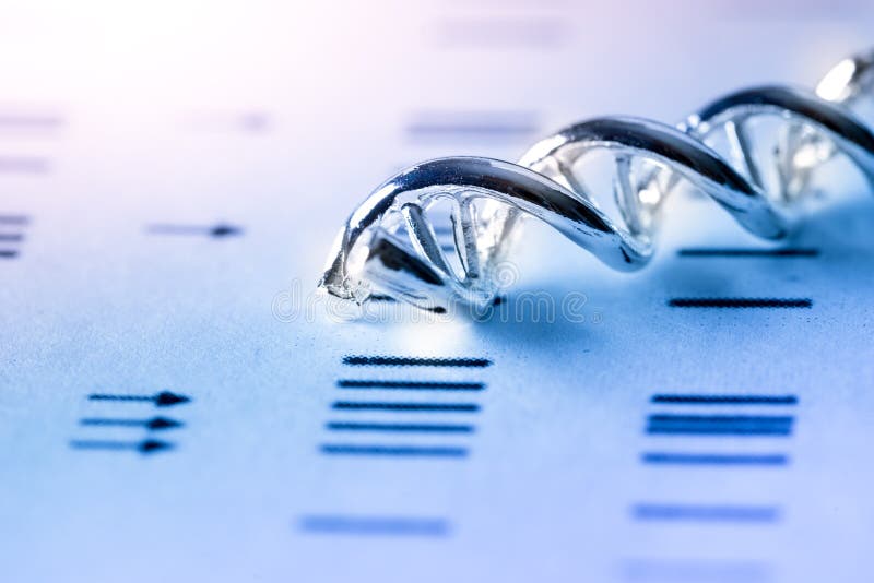 Science Molecule DNA Model Structure, Business Teamwork Concept Stock ...